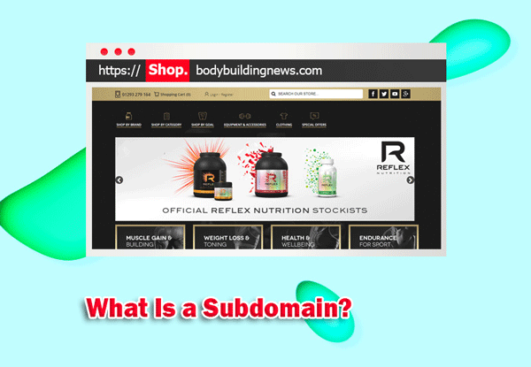 What Is a Subdomain [Definition, Example & How To Create It]